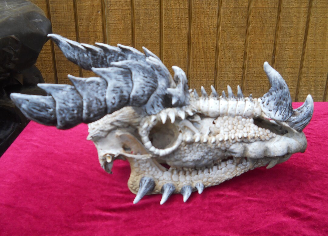 Dragon Skull- Red Dragon, Heavy Horns - Etsy