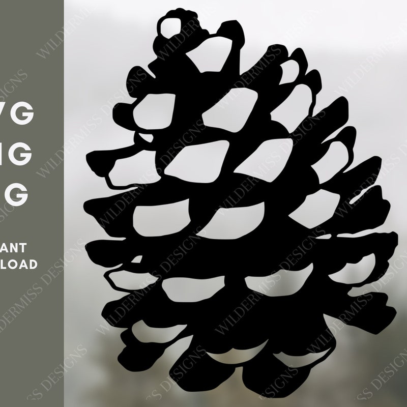 White Fir Trees for Sale - Etsy