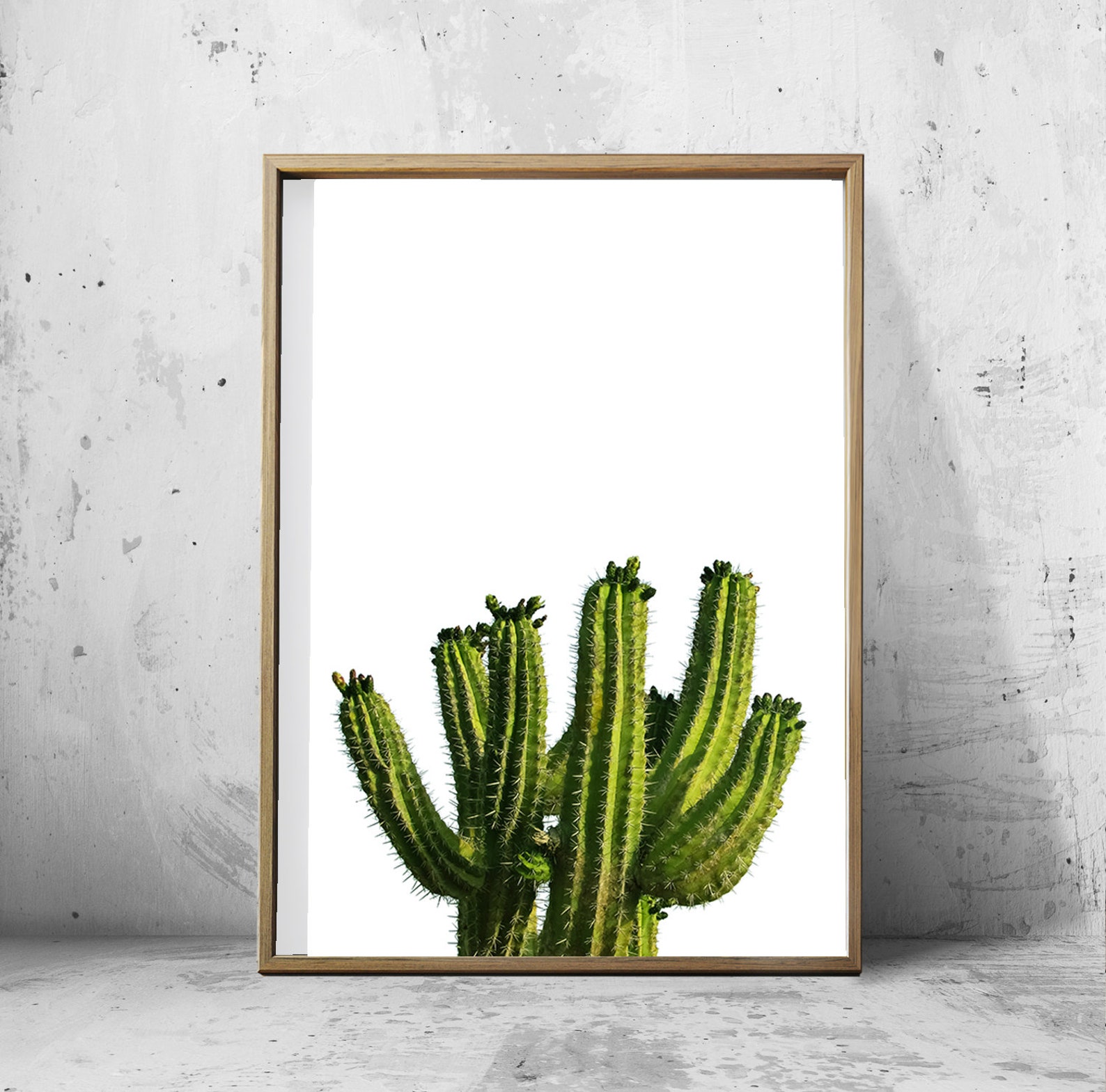 Botanical Wall art Plants Cactus Decor Cacti Tropical Prints | Etsy