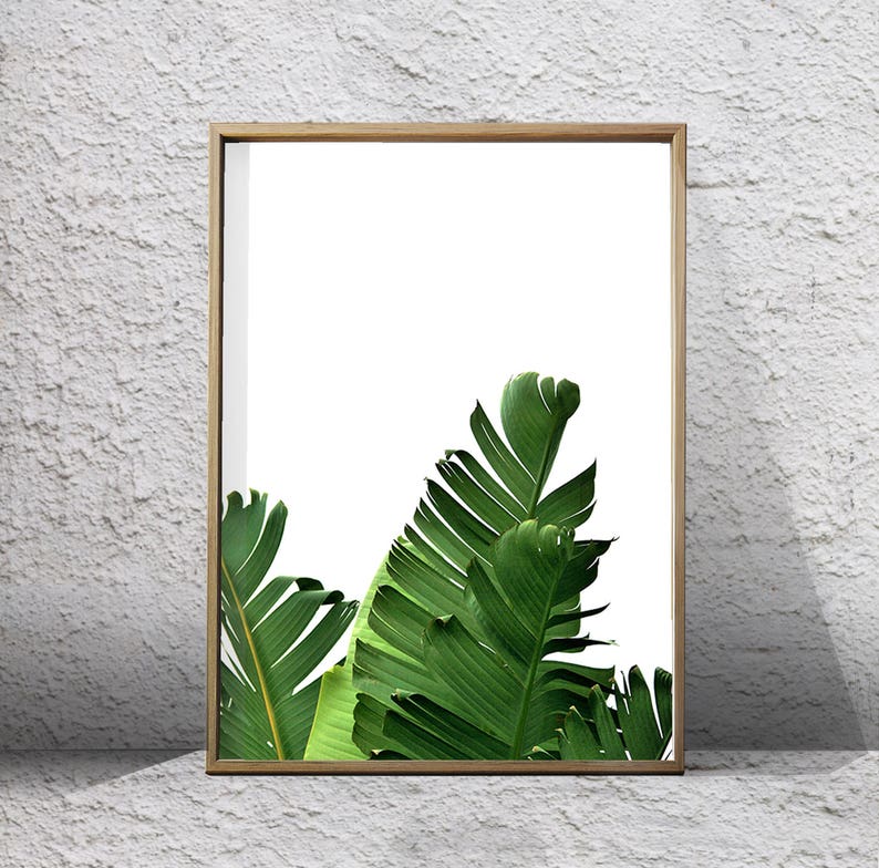 Tropical Leaf Prints Set Botanical Wall Art Nature Posters | Etsy