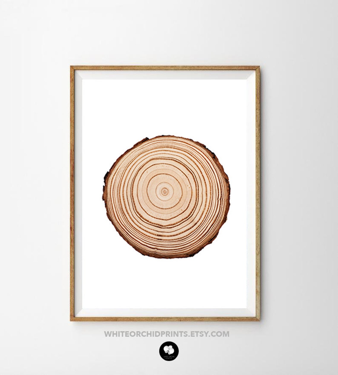 Rustic Wall Art Tree Ring Print Tree Cross Section Poster - Etsy