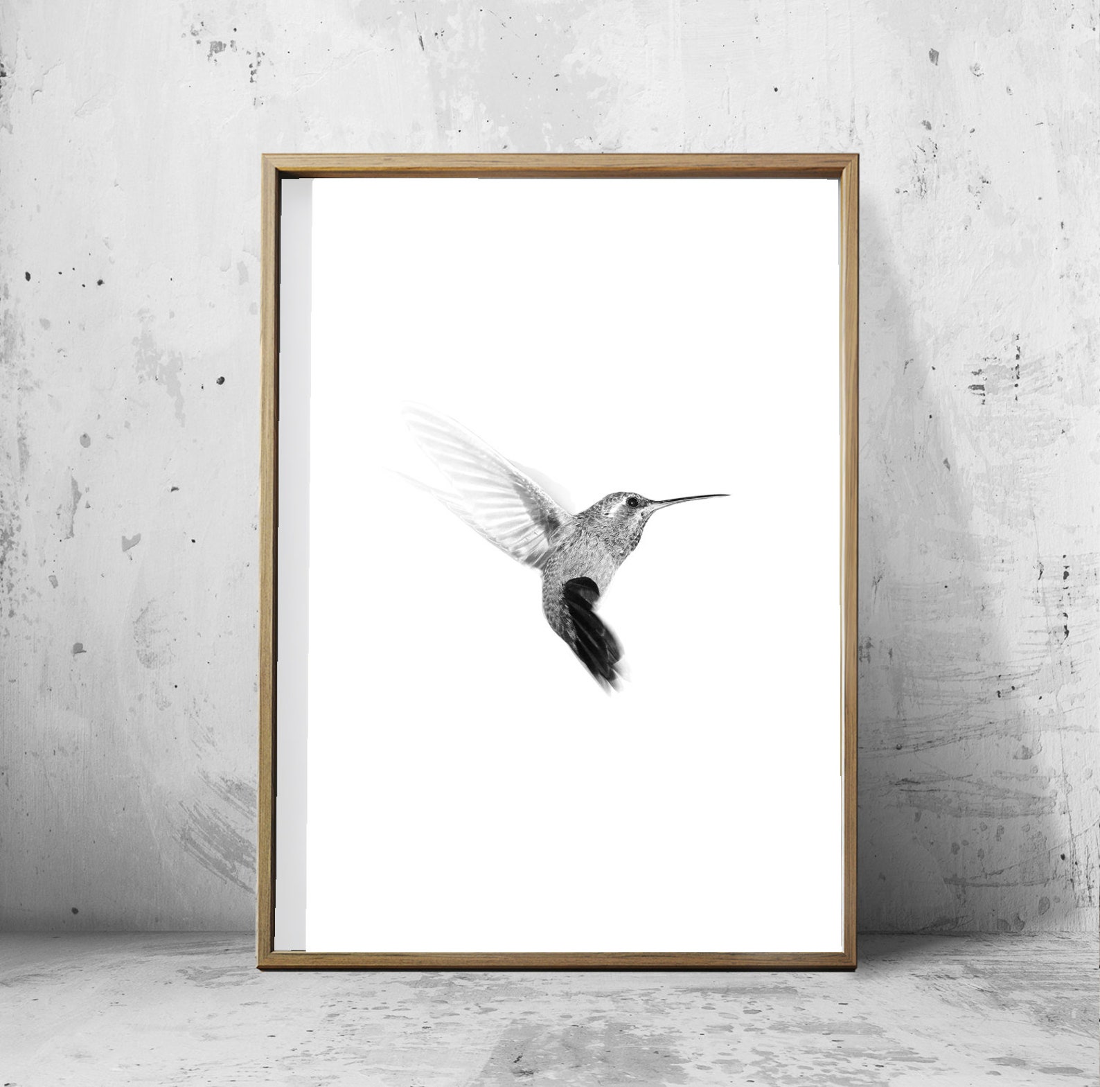 Nature Prints Set Botanical Posters Black White Wall Art Birds | Etsy