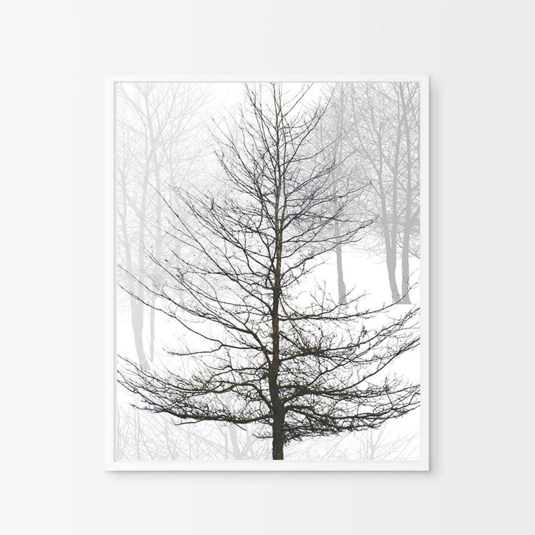 Forrest Print Black and White Tree Print Scandinavian Poster Nordic ...