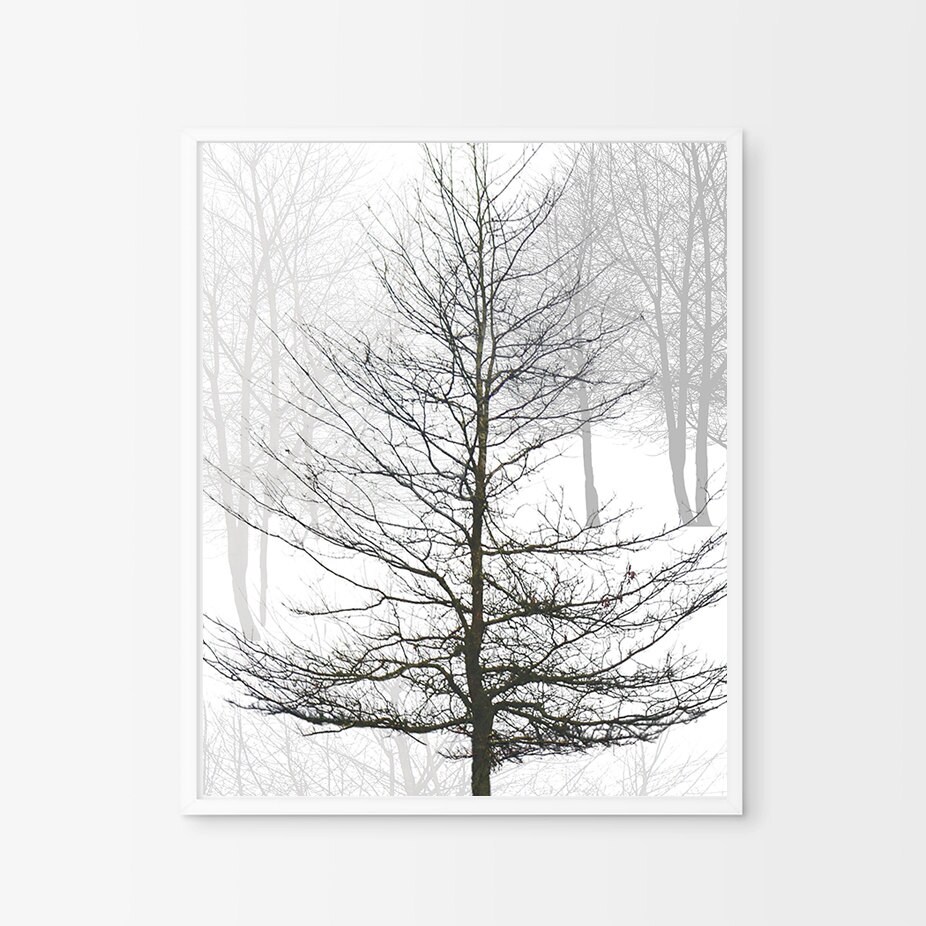 Black and White Forrest Print - Etsy