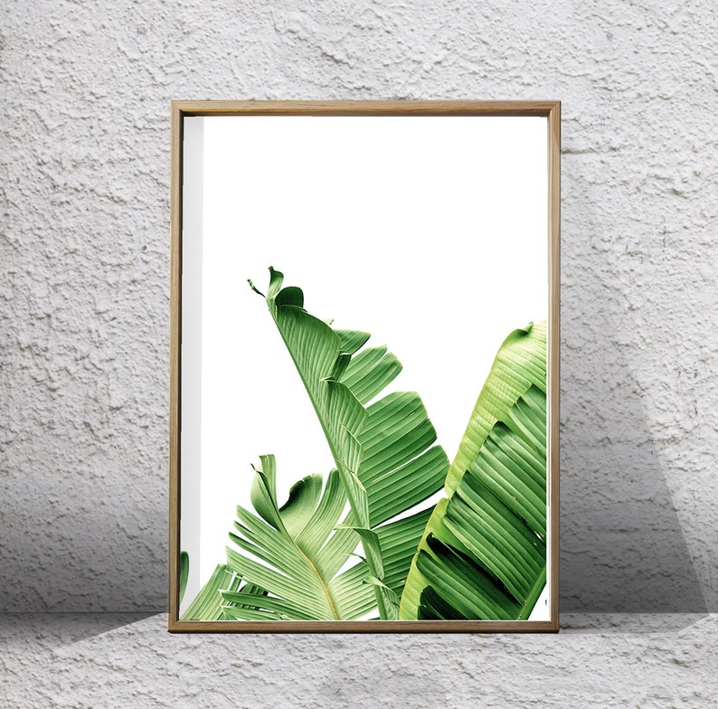 Tropical Leaf Posters Large Wall art Prints set Minimalist art | Etsy