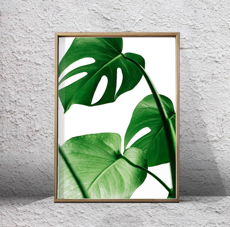 Tropical Leaf Posters Large Wall Art Prints Set Minimalist Art - Etsy