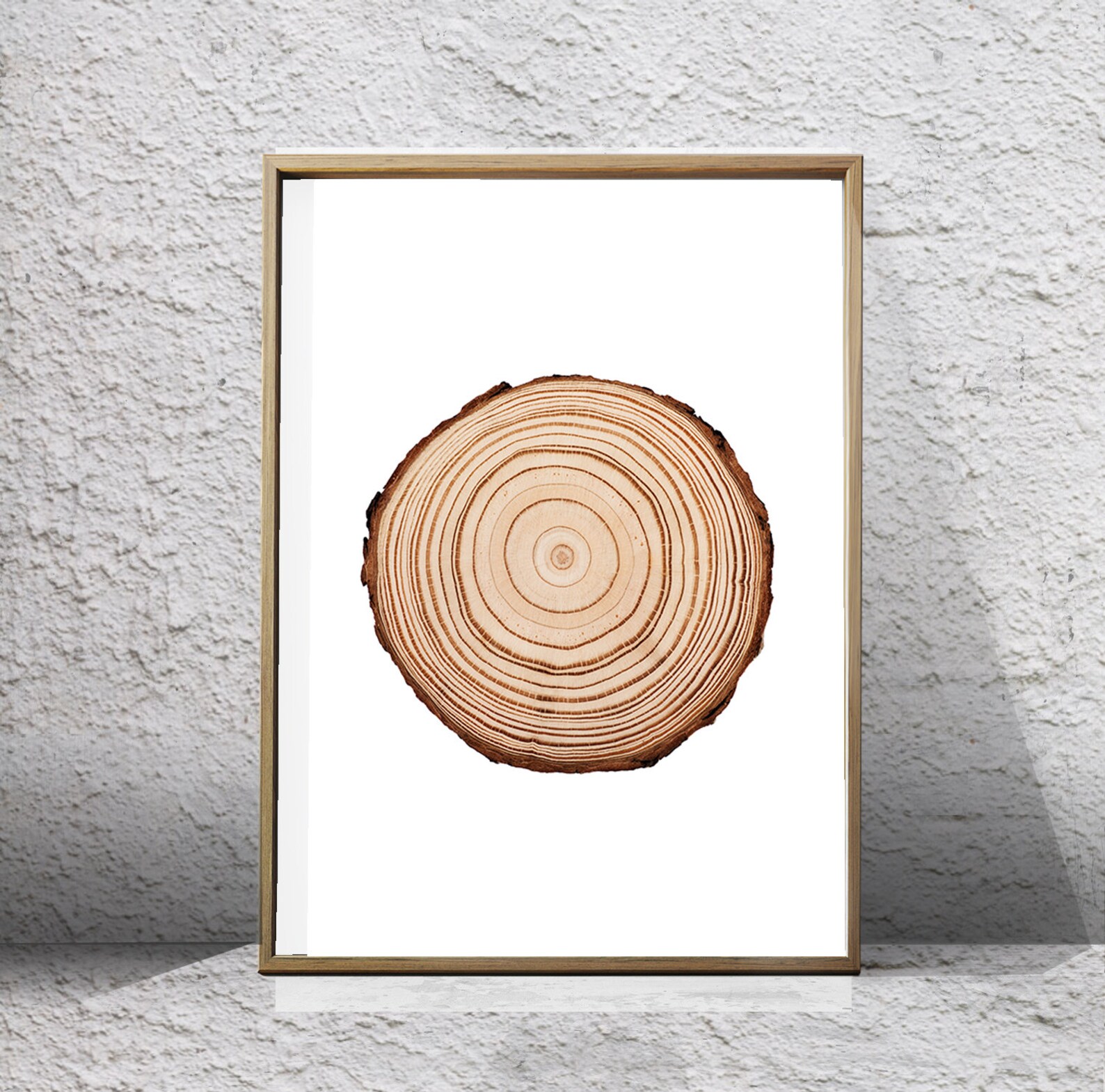 Rustic Wall Art Tree Ring Print Tree Cross Section Poster - Etsy