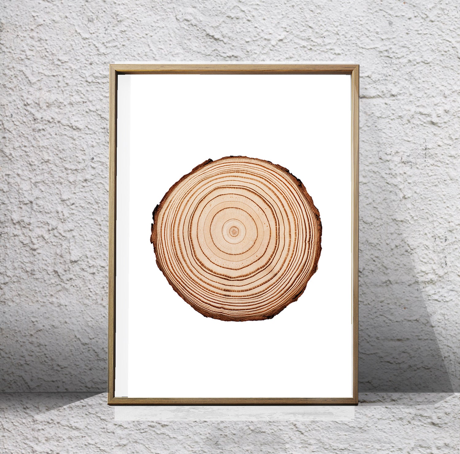 Rustic Wall Art, Tree Ring Print, Tree Cross Section Poster Minimalist ...