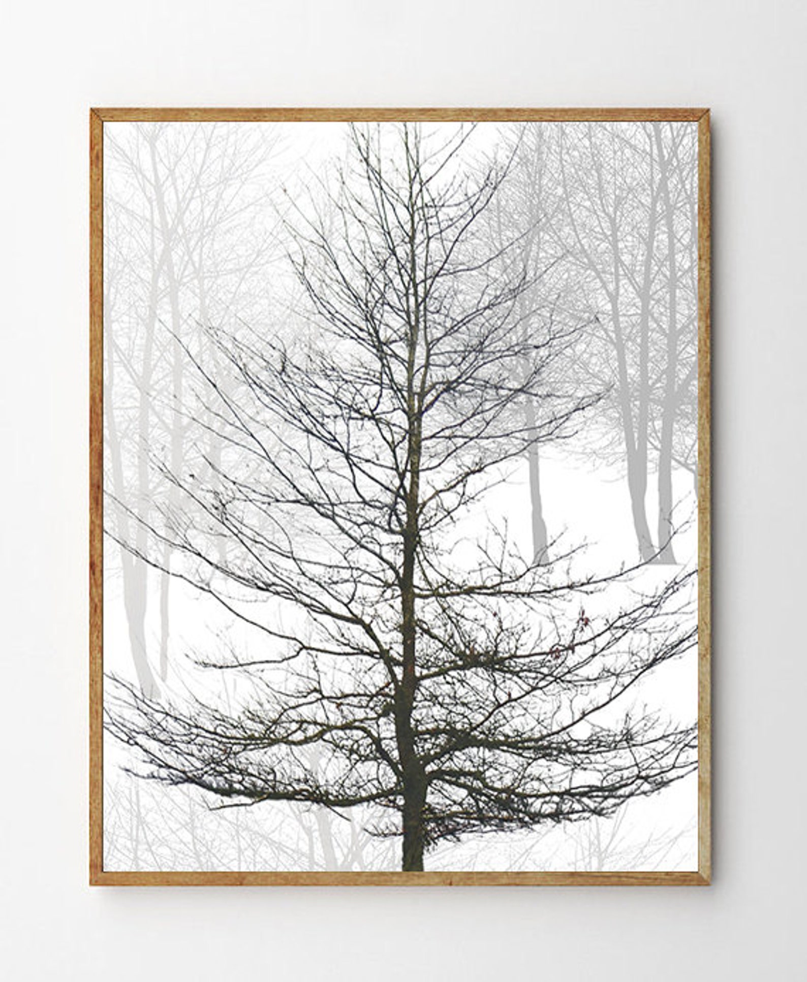 Forrest Print Black and White Tree Print Scandinavian Poster - Etsy