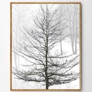 Forrest Print Black and White Tree Print Scandinavian Poster Nordic ...