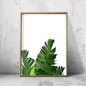 Set of 4 Tropical Leaves, Leaf Prints Set, Green Wall Art, Minimalist ...