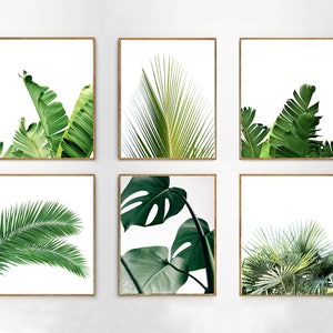 Tropical Leaf Prints Set, Botanical Wall Art, Nature Posters ...