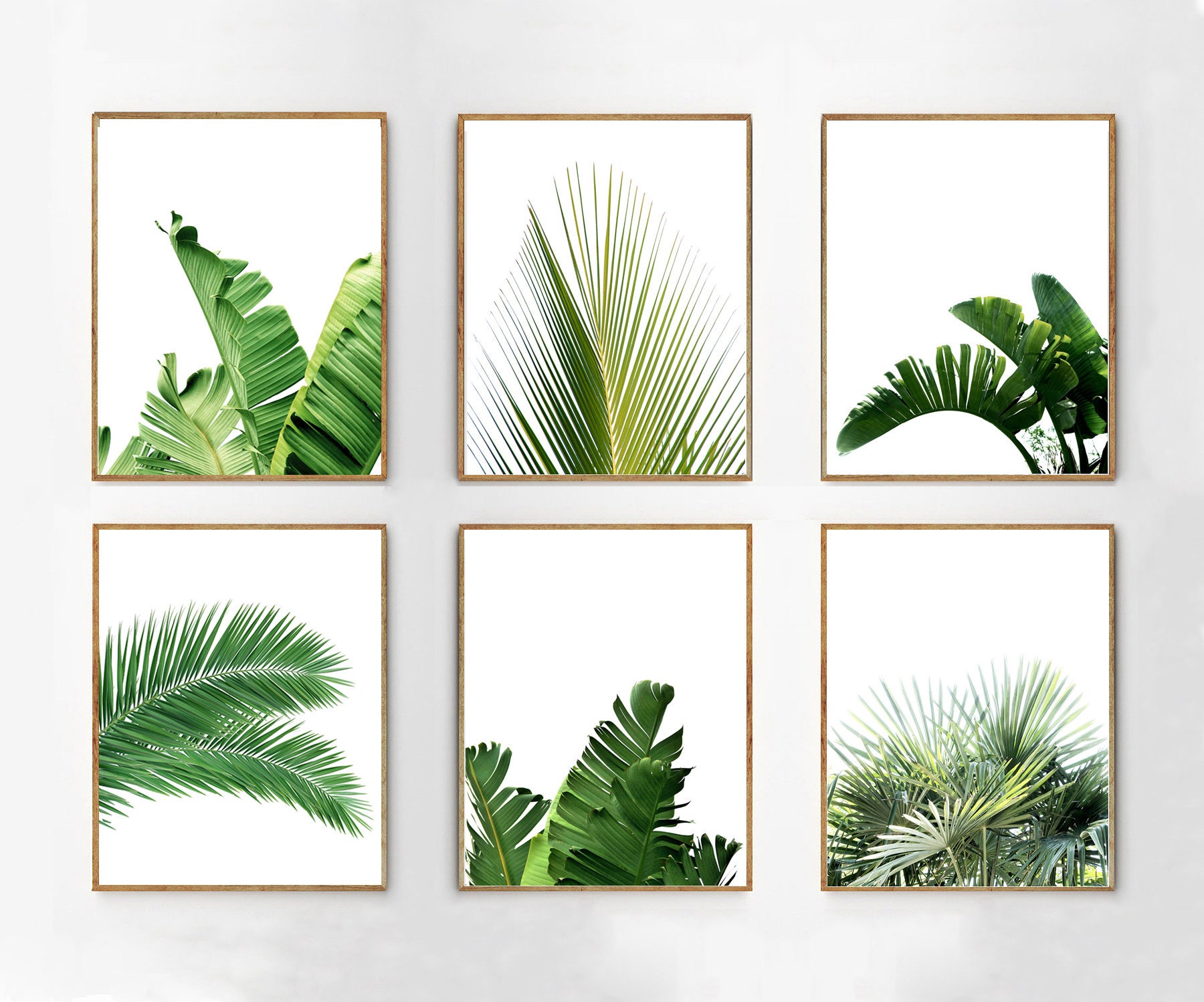 Palm Leaves Prints Set of 6 Botanical Wall Art Green Prints - Etsy UK