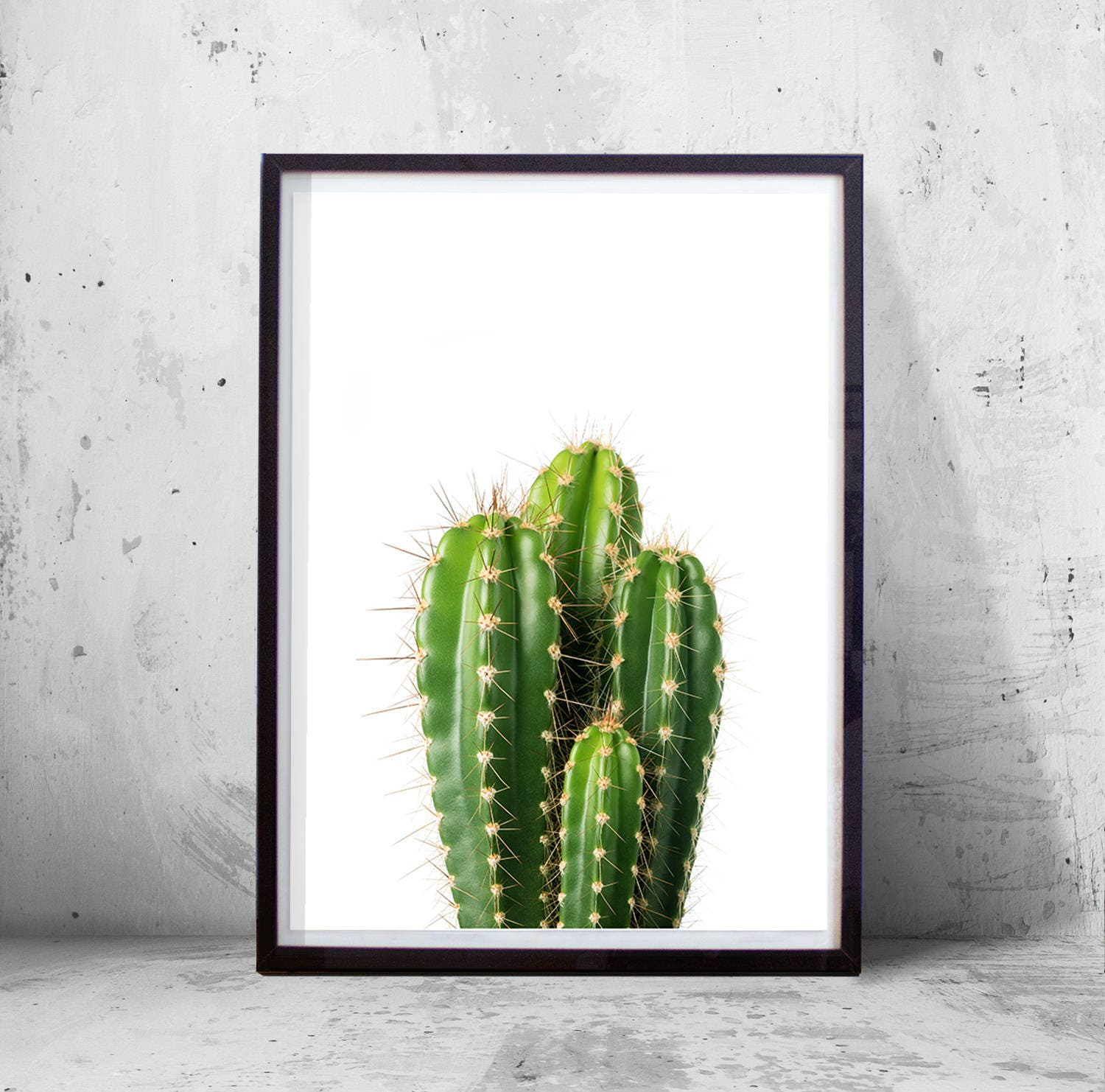 cactus-wall-art-cactus-print-succulent-print-botanical-print