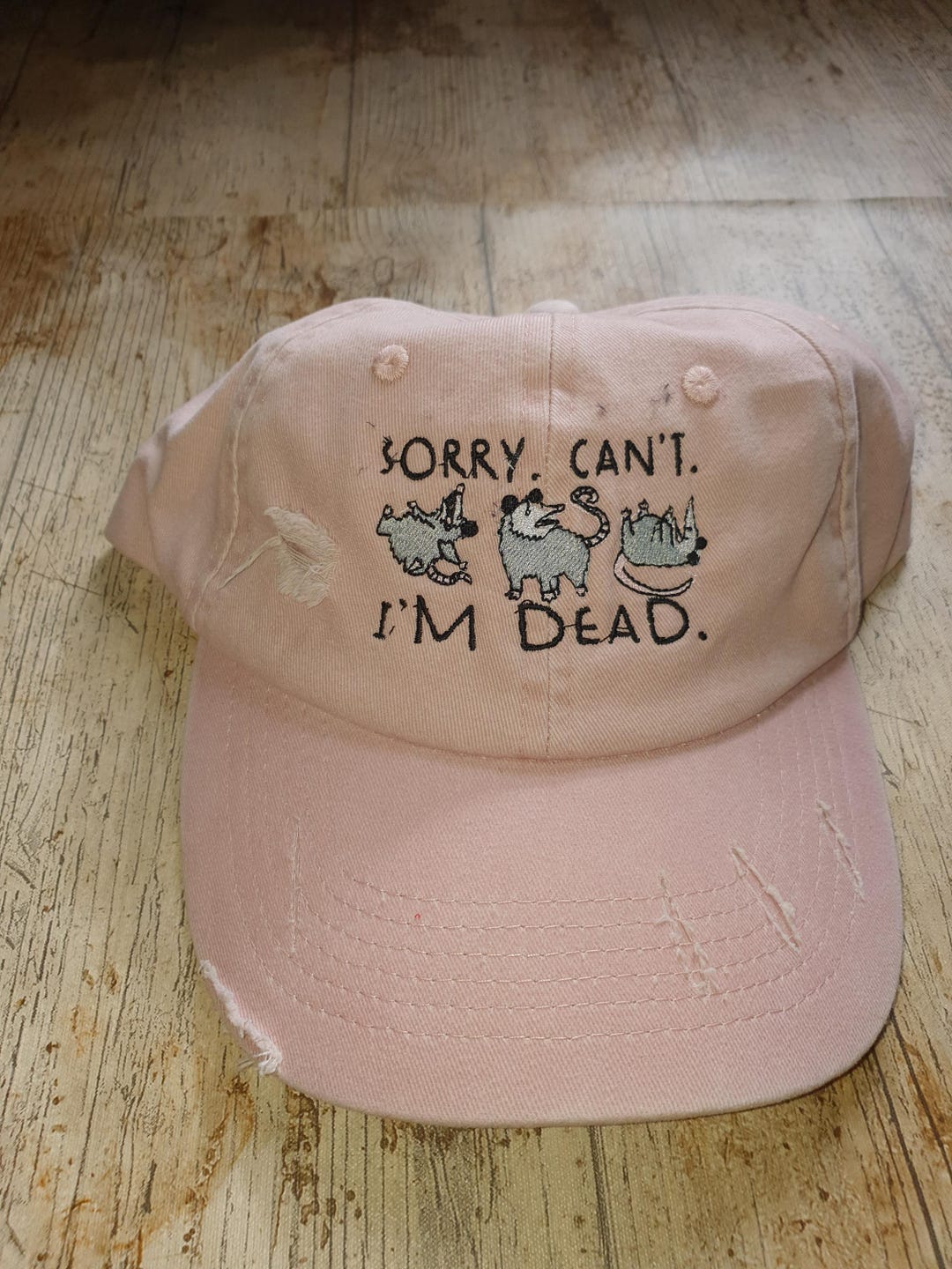 Distressed Look Sassy Possum Summer Cap Alternative Goth Emo Punk ...