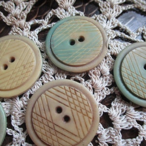 Art Deco Celluloid Wafer Buttons, Set of 6, Beige and Pale Green ...
