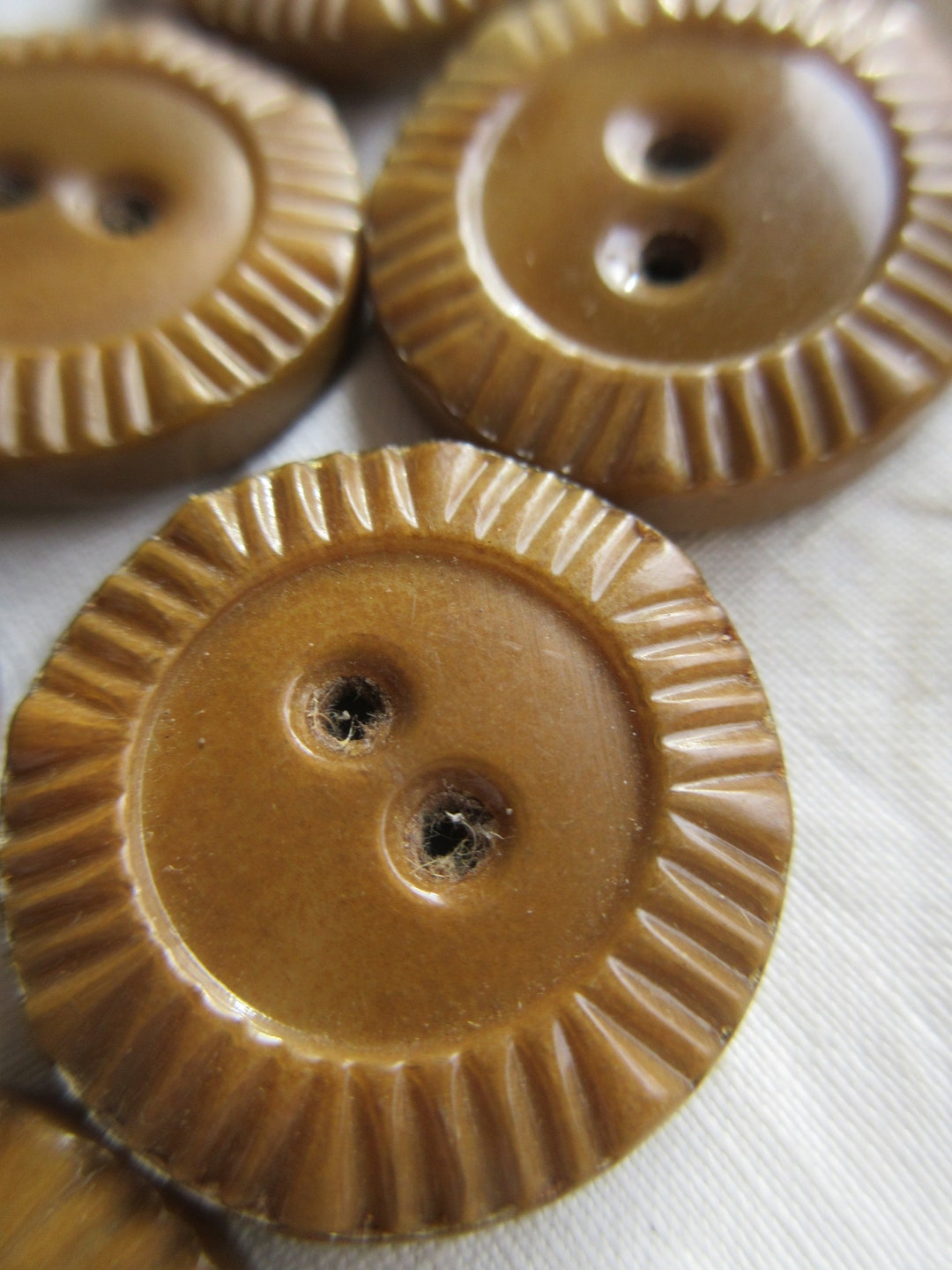 6 Matching Celluloid Tight-top Buttons, 1930s, Piecrust Design, Brown ...
