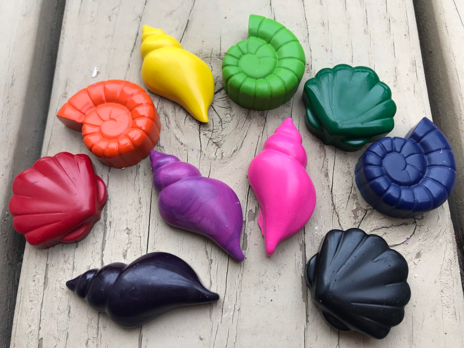 Shell Crayon Box // Shell Crayons // Ocean Coloring // Ocean Crayons ...