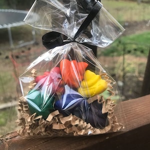 Funny Birthday Favor // Poop PARTY FAVORS // Party Favor Bags // Crayon ...