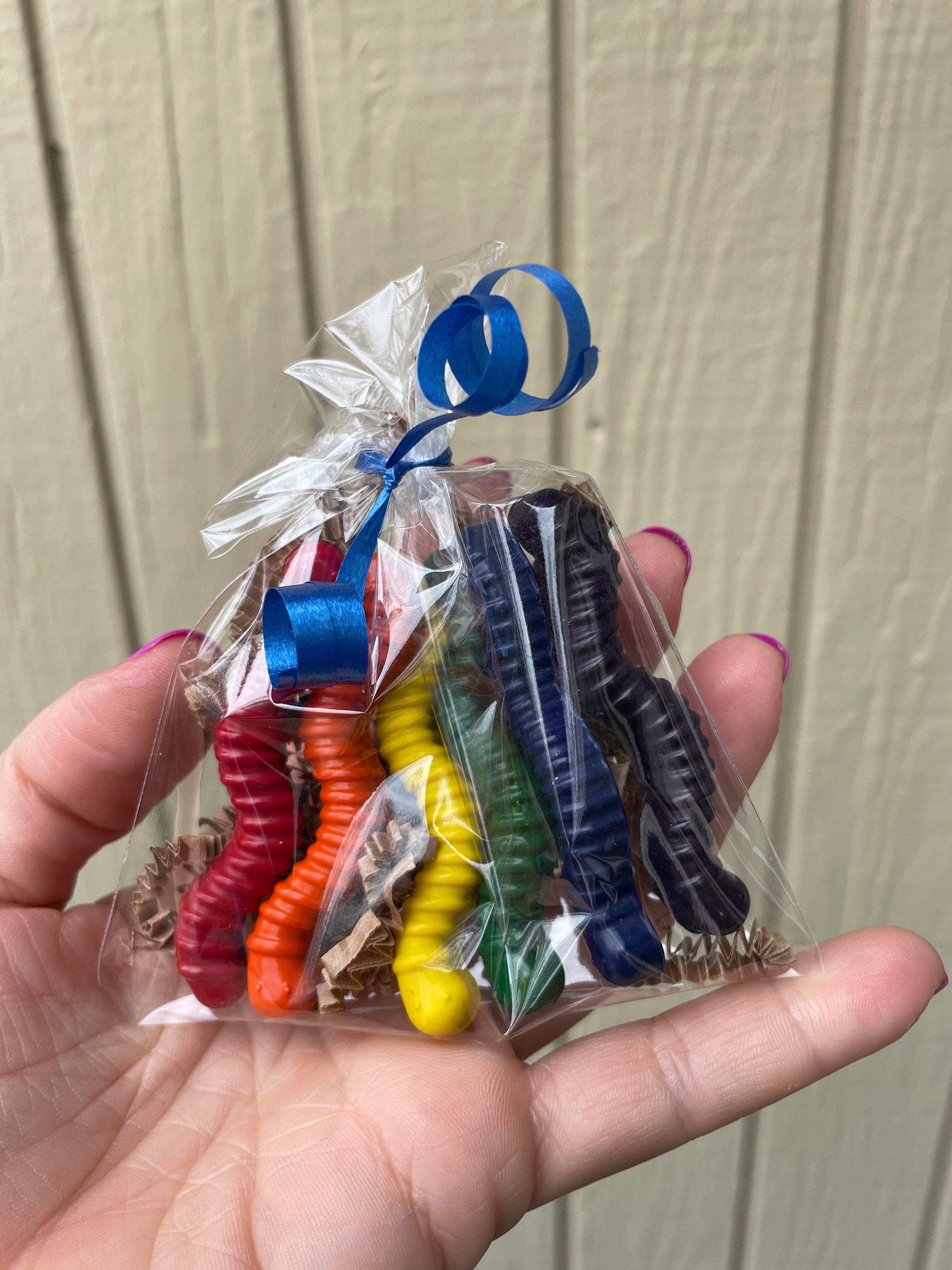 Worm PARTY FAVOR // Worm Favors // Insect Favors // Bug Party - Etsy