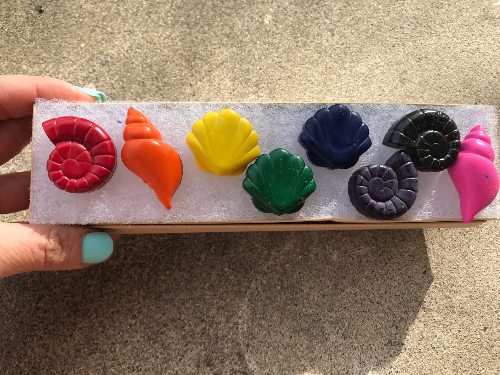 Shell Crayon Box // Shell Crayons // Ocean Coloring // Ocean | Etsy
