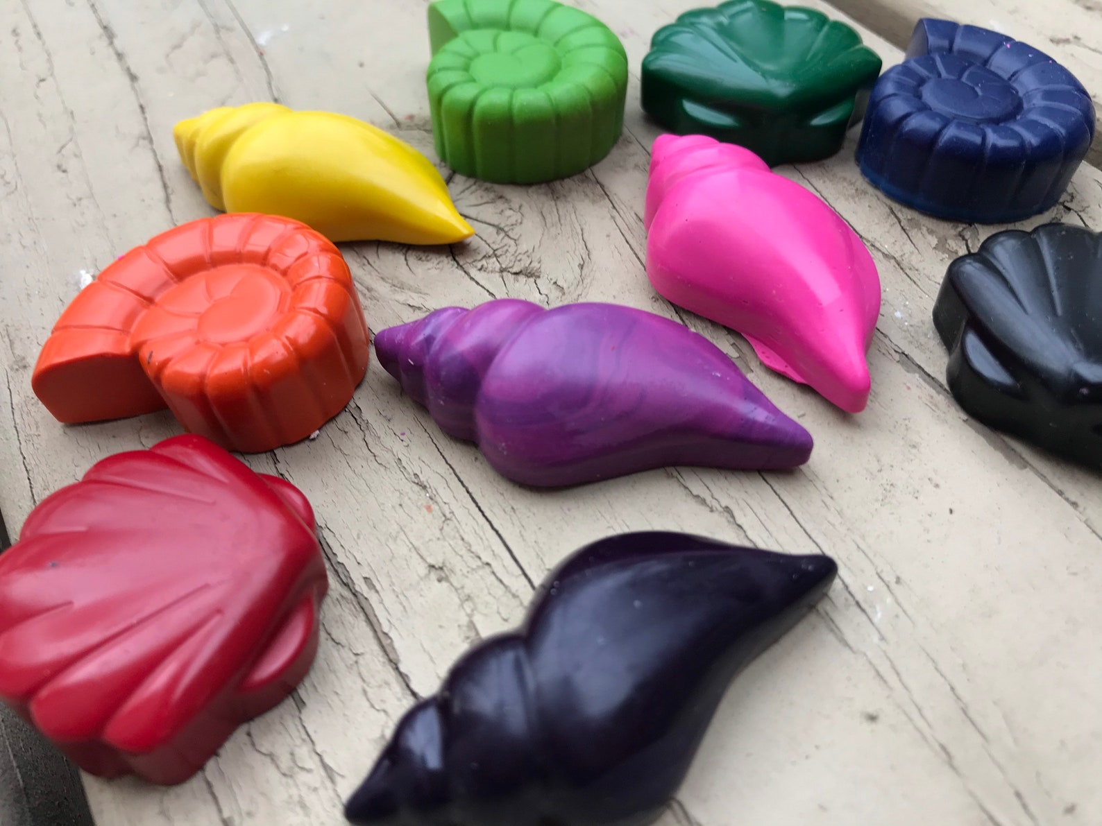 Shell Crayon Box // Shell Crayons // Ocean Coloring // Ocean Crayons ...