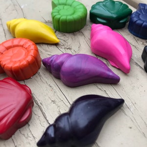 Shell Crayon Box // Shell Crayons // Ocean Coloring // Ocean Crayons ...