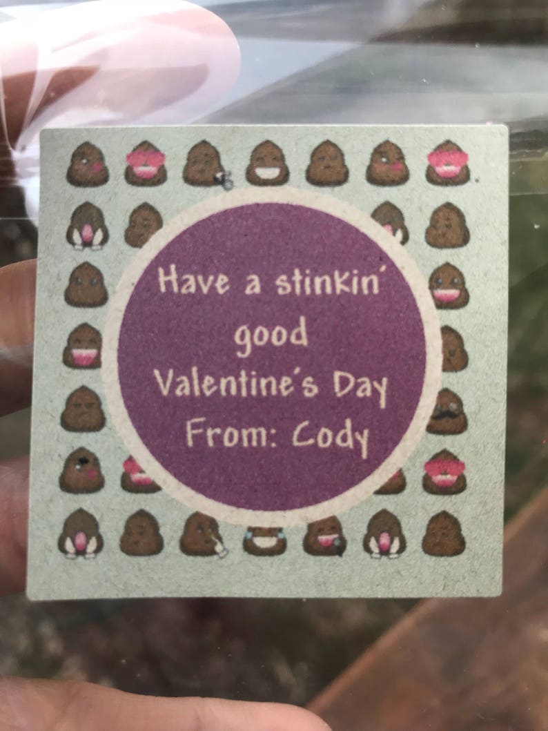 Funny Valentines for Kids // Poop Party Favors // Poop | Etsy