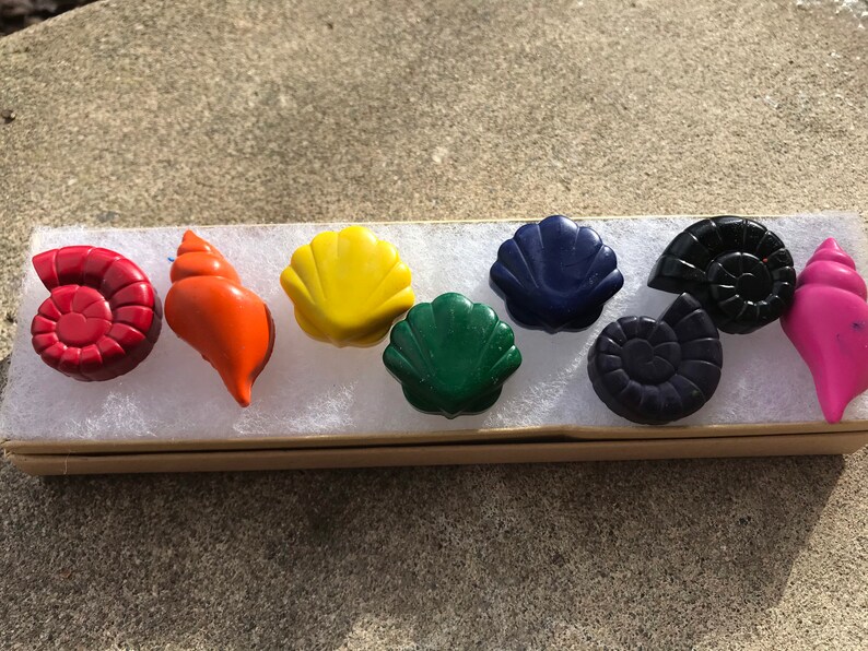 Shell Crayon Box // Shell Crayons // Ocean Coloring // Ocean Crayons ...