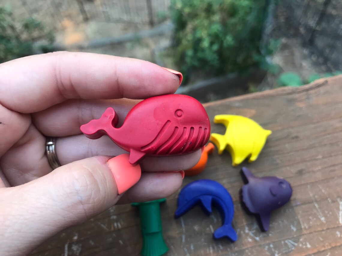 Under the Sea Crayons // Ocean Crayons // Under the Sea | Etsy
