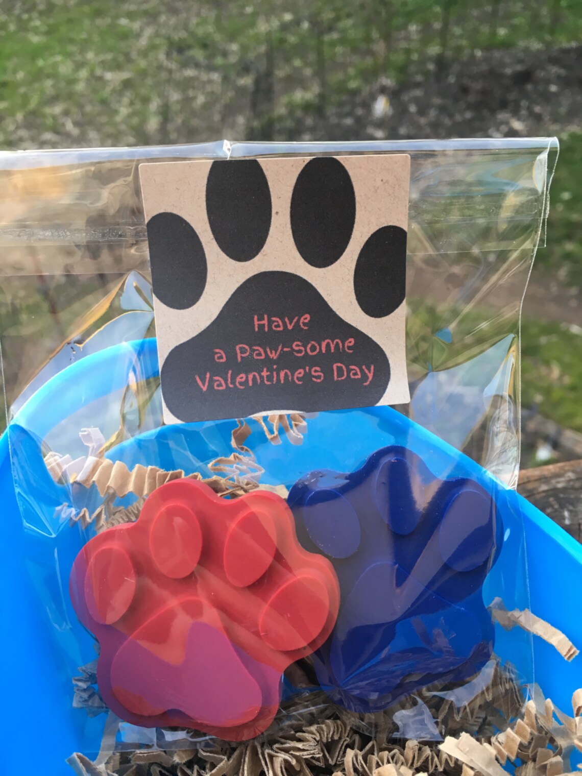 Kids Valentines Day Favors // Dog Valentines // Paw Party - Etsy
