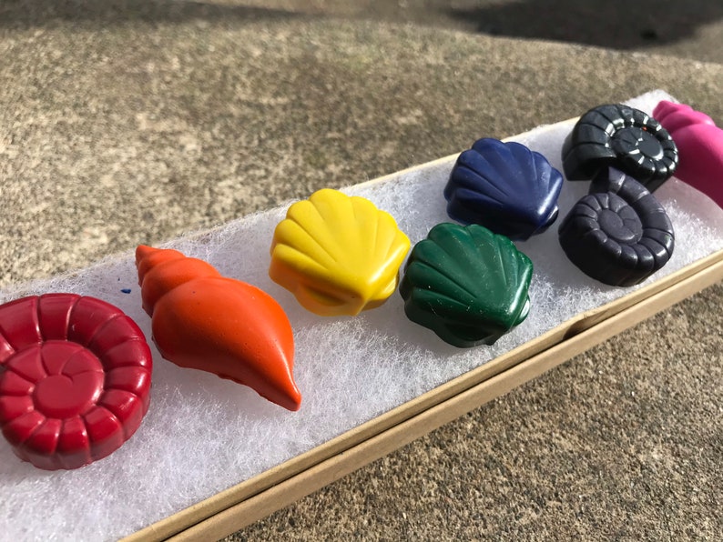 Shell Crayon Box // Shell Crayons // Ocean Coloring // Ocean Crayons ...