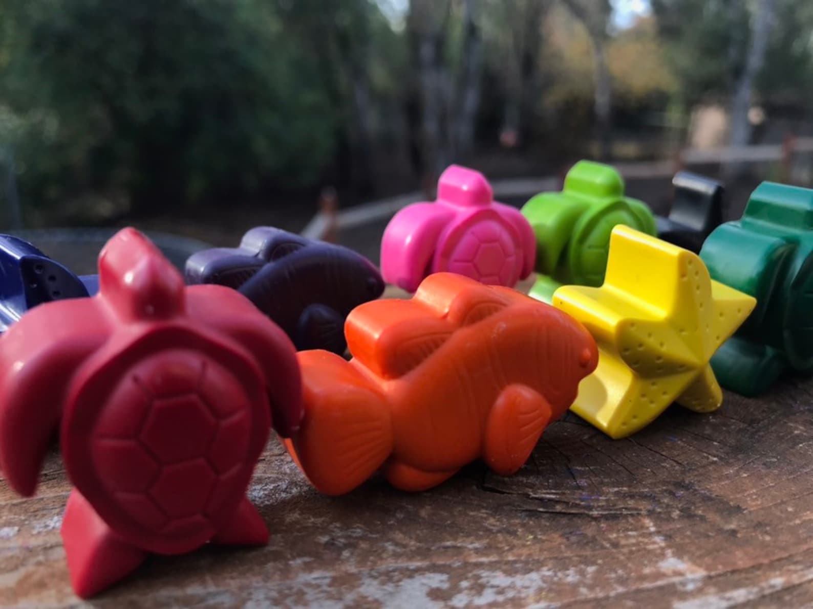 Under the Sea Crayons // Turtle Crayons // Sea Crayon // Ocean - Etsy