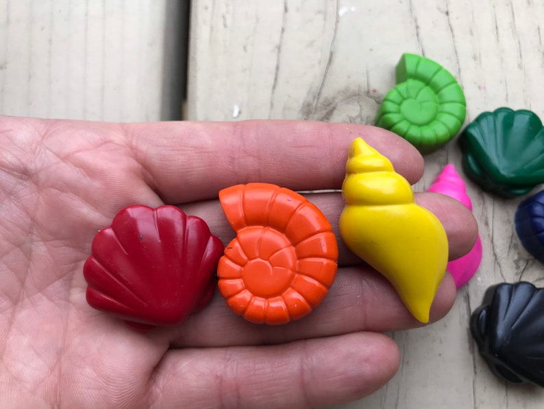Shell Crayon Box // Shell Crayons // Ocean Coloring // Ocean Crayons ...