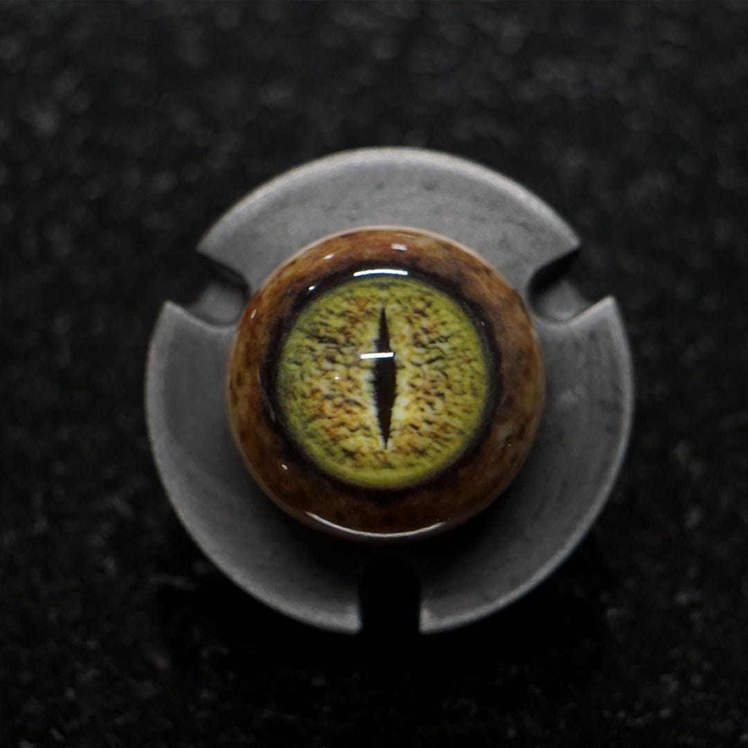 Crocodile - Realistic Resin Galaxy Eyeball – Fake Acrylic Eyes for ...