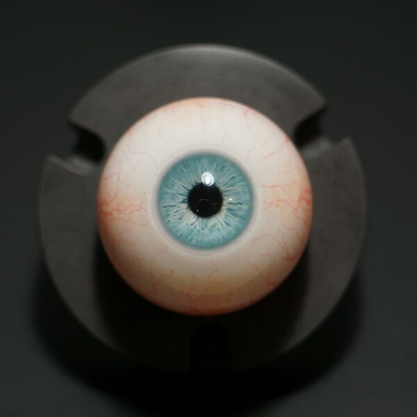 Realistic Eye - Etsy