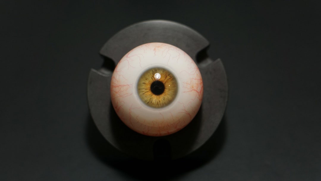 Hazel Eye Human Eyes Fake Eyes Acrylic Eyes Doll Eyes Eye - Etsy