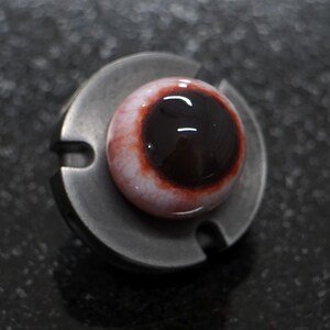Arctic Darkness - Realistic Resin Vampire Eyeball – Fake Acrylic Eyes ...