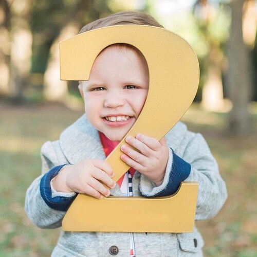 2 Sign Photo Prop for Second Birthday Photo Shoot for Toddlers - Etsy