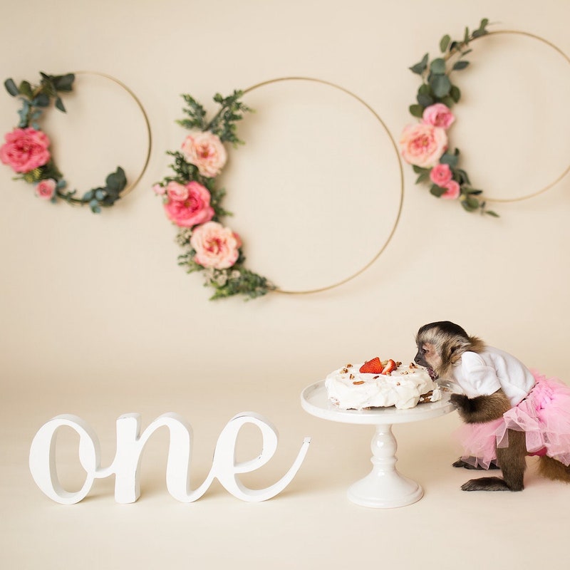 One Year Photo Prop - Etsy