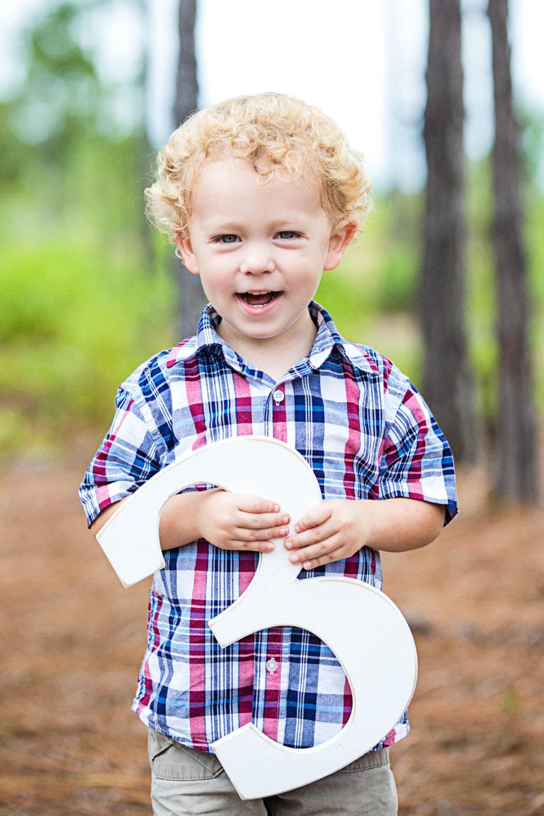 3 Sign Photo Prop for Third Birthday Photo Shoot for Kids - Wooden ...