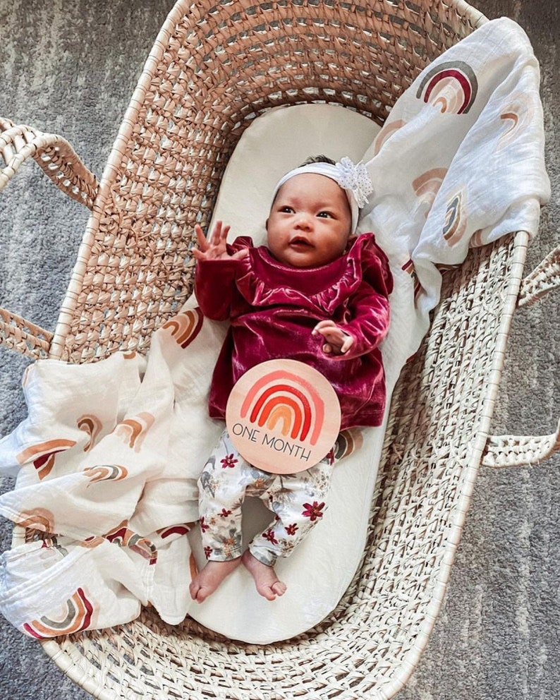 Monthly Baby Circles // SET of 12 Rainbow Discs Milestone Age - Etsy