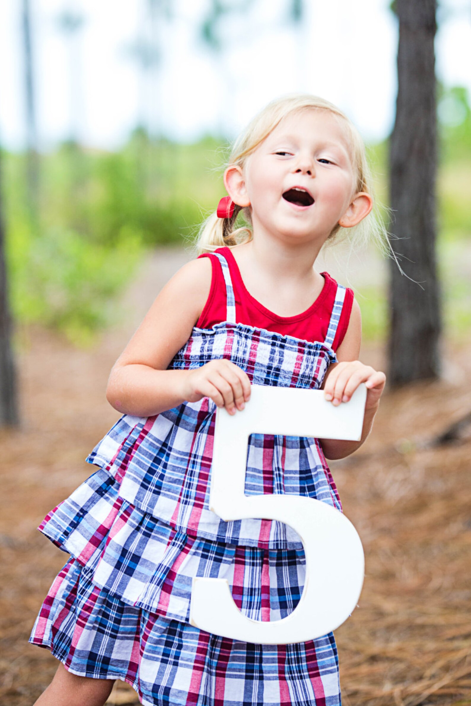 5 Sign Photo Prop for Fifth Birthday Photo Shoot for Kids - Wooden ...