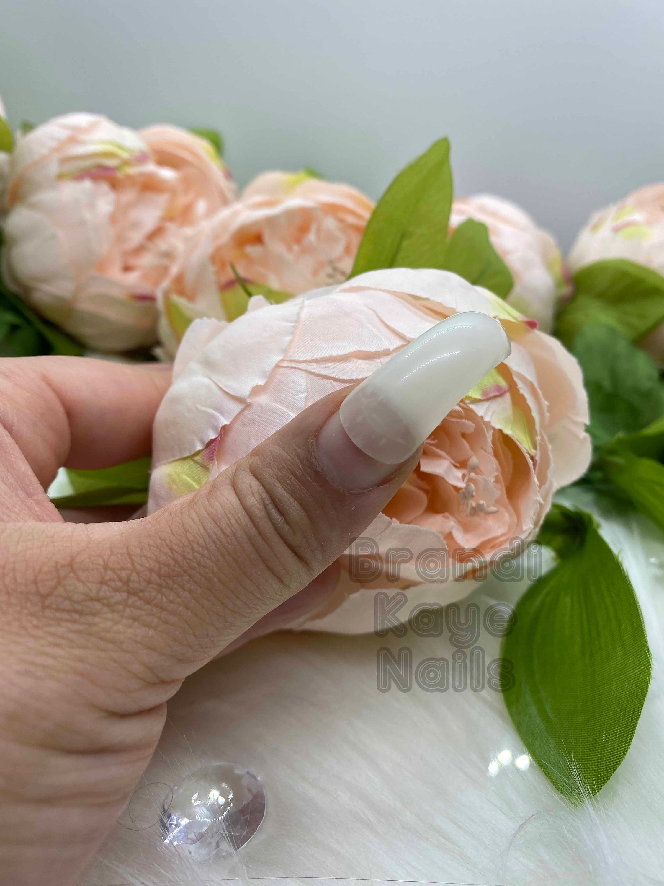 The Flojo Curve 100 Pcs 90s Extra Curve Talon Nail Tips Full - Etsy