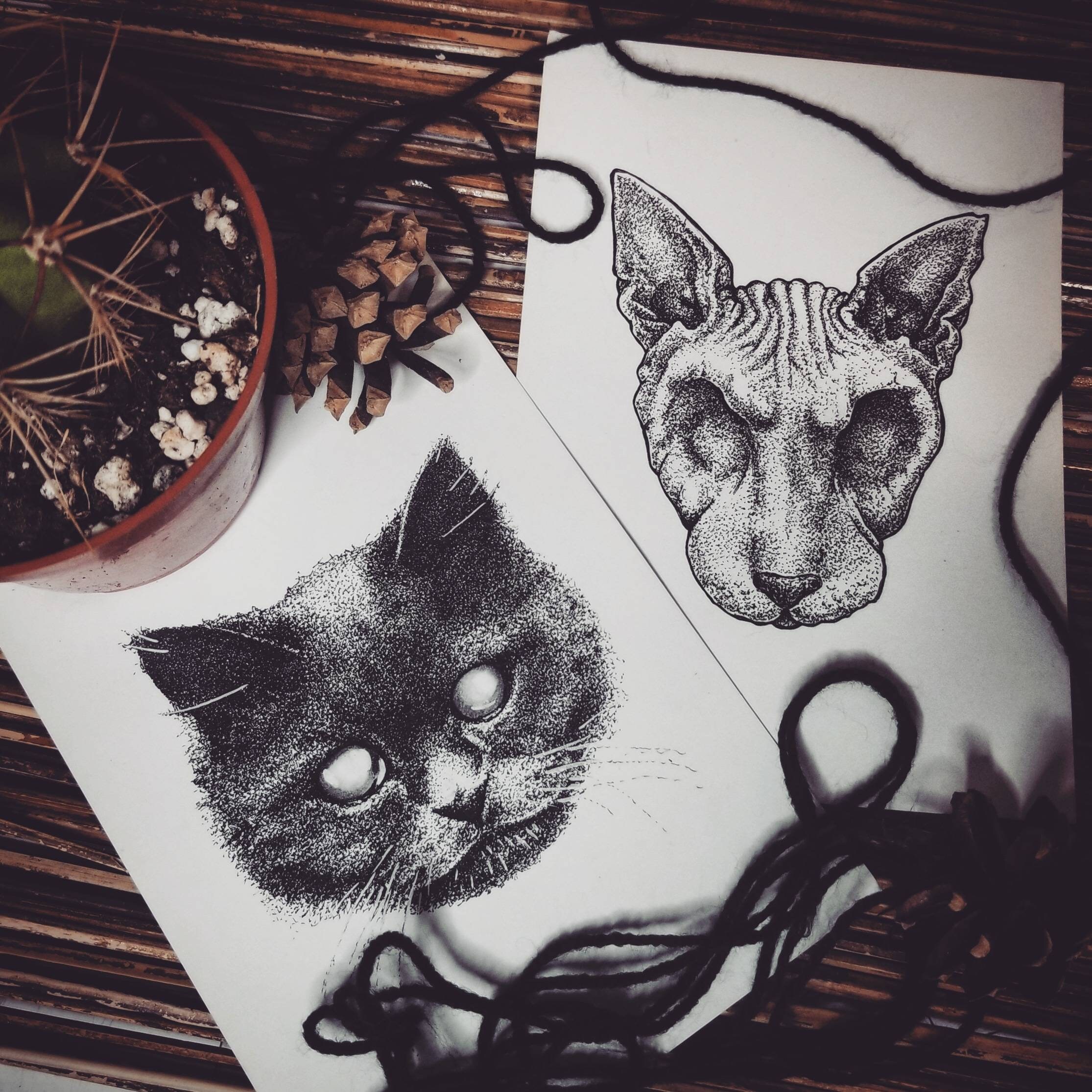 Jasper Eyeless Hairless Sphynx Cat Art Print | Etsy