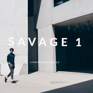 SAVAGE S1 + S2 Lightroom and Photoshop Preset Bundle: an Edgy Film ...
