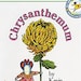 CHRYSANTHEMUM by Kevin Henkes - Etsy BEST Price! Fantastic Gift for ...