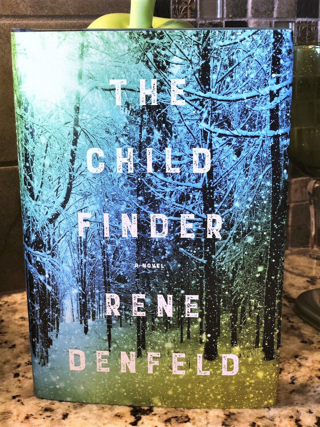 THE CHILD FINDER by Rene Denfeld Hardcover Book Retail 25.99 Never Read Heavily Discounted Great ...