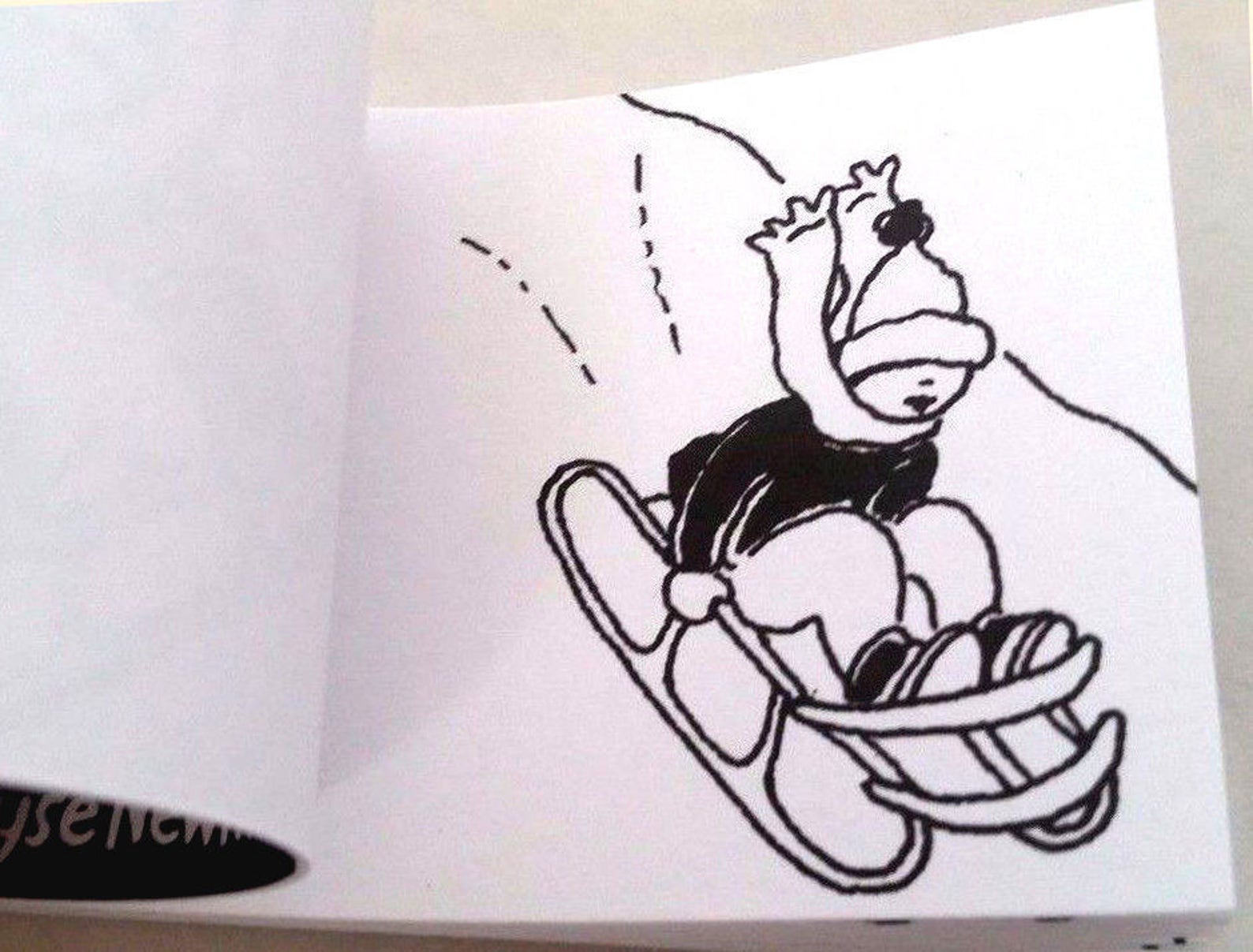 Flipix SLEDDING Animated Picture FLIP BOOK by Alyse Newman - Etsy