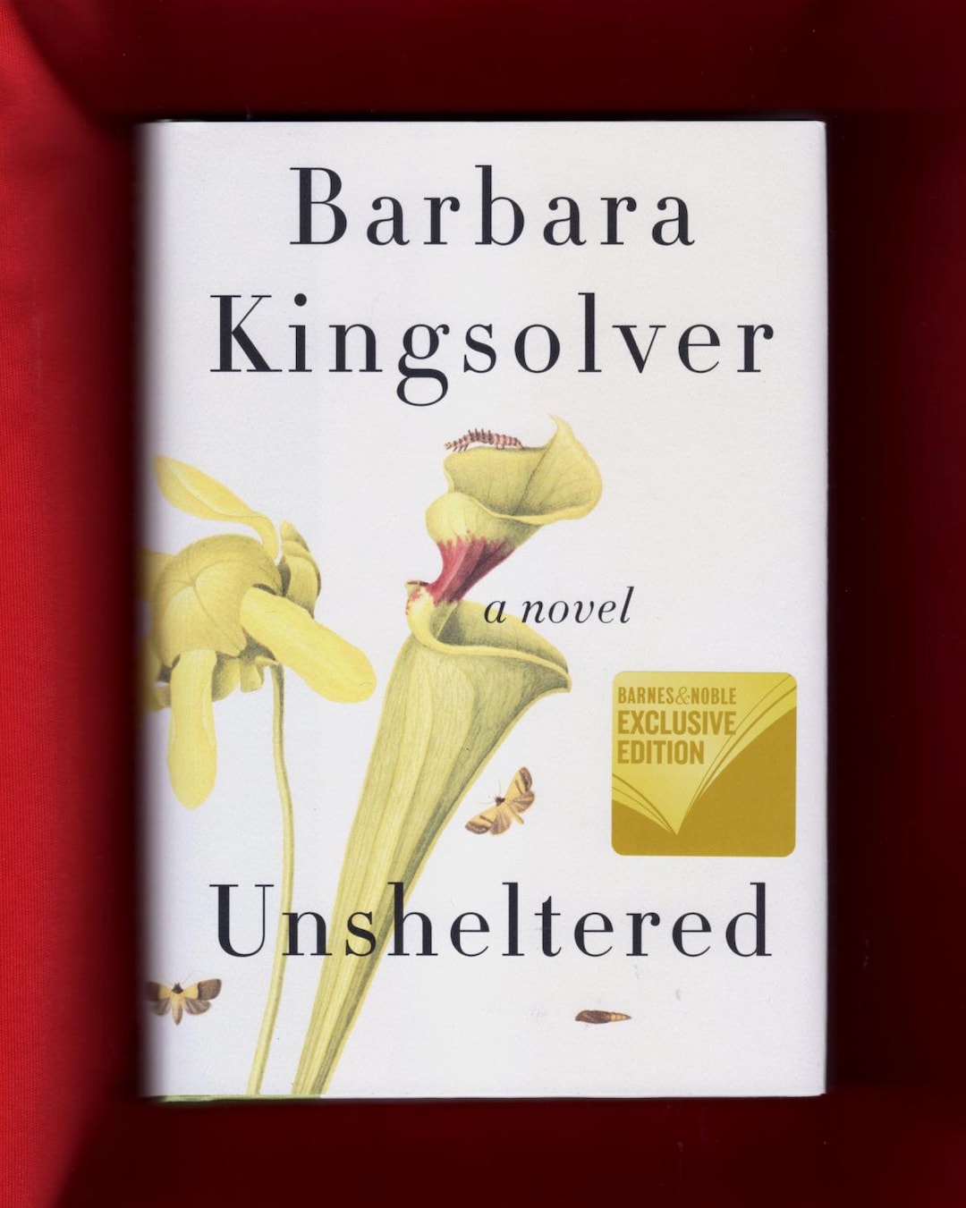 UNSHELTERED by Barbara Kingsolver - PRISTINE Condition Hardcover Book ...
